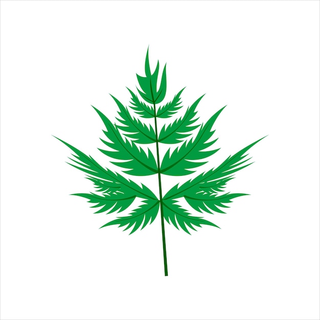 Strona 3 | Lisc Dab Zdjęcia - darmowe pobieranie na Freepik Strona 3 | Lisc Dab Zdjęcia - darmowe pobieranie na Freepik