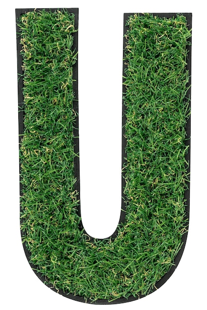 Grasbuchstabe u Alphabet d Design isolierter transparenter Hintergrund ... Grasbuchstabe u Alphabet d Design isolierter transparenter Hintergrund ...