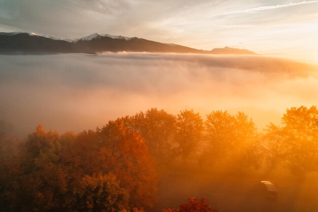 Floresta nebulosa com raios solares vista superior do drone do vale da ... Floresta nebulosa com raios solares vista superior do drone do vale da ...