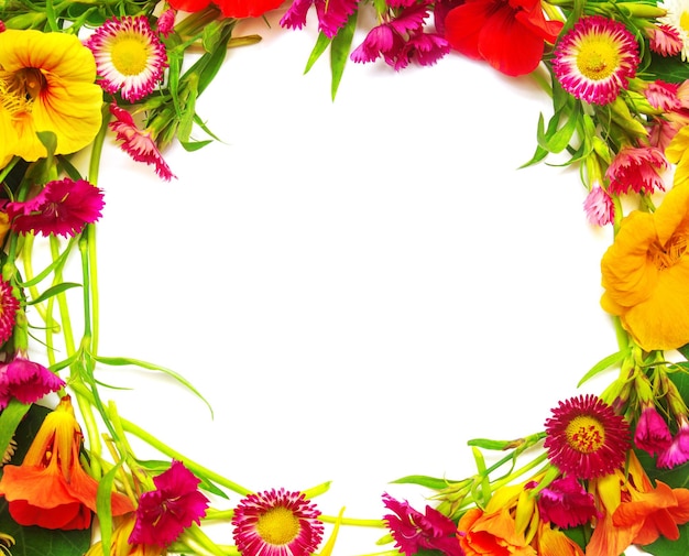 Blumen Ranken Bunt Bilder - Kostenloser Download auf Freepik Blumen Ranken Bunt Bilder - Kostenloser Download auf Freepik