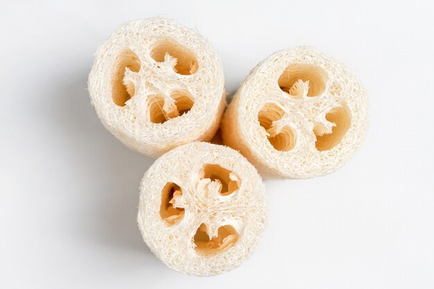 Premium Photo Luffa Loofah Vegetable Sponge Extracted From The Luffa Plant On Light