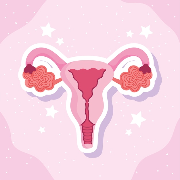 Free Vector Female Reproductive System With Flowers