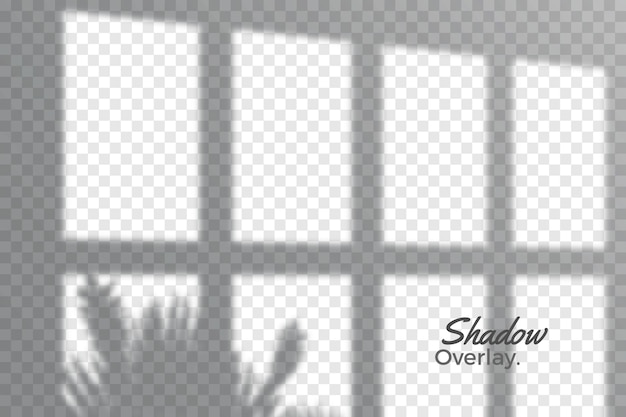 Free Vector | Transparent shadows overlay effect Free Vector | Transparent shadows overlay effect