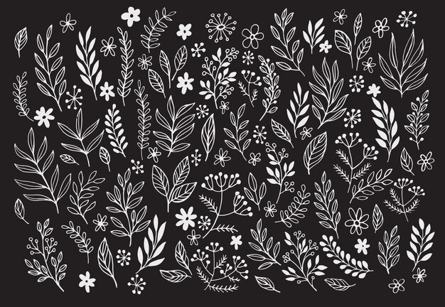 Premium Vector | Hand drawn chalkboard design elements. Premium Vector | Hand drawn chalkboard design elements.