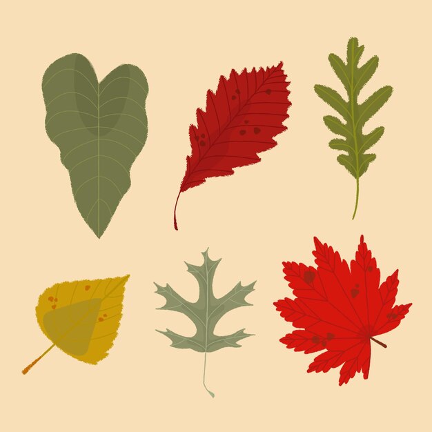 Free Vector Hand Drawn Leaves Collection