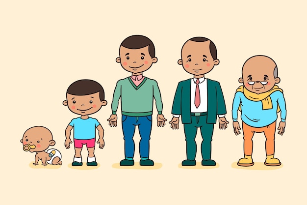 Free Vector Hand Drawn Life Cycle Of Man