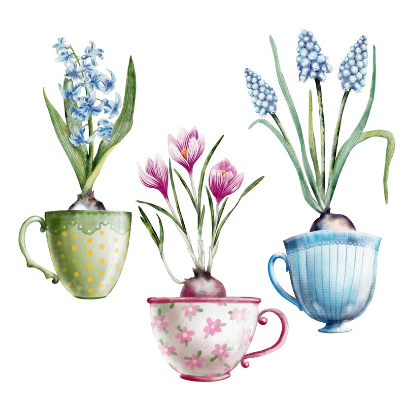 Premium Vector | Hand painted watercolor set of primroses in teacups Premium Vector | Hand painted watercolor set of primroses in teacups