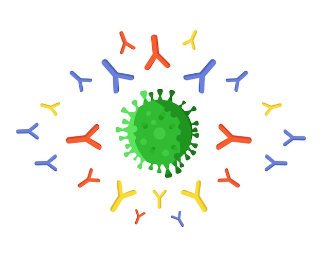 Premium Vector | Illustration antibodies attacking virus Premium Vector | Illustration antibodies attacking virus