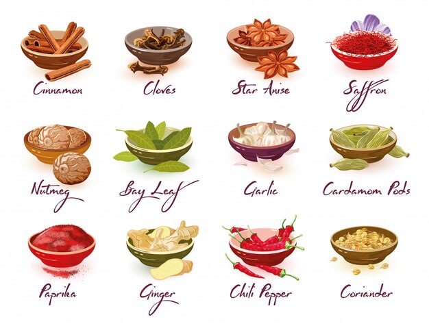 Premium Vector | Kinds of spices icons Premium Vector | Kinds of spices icons