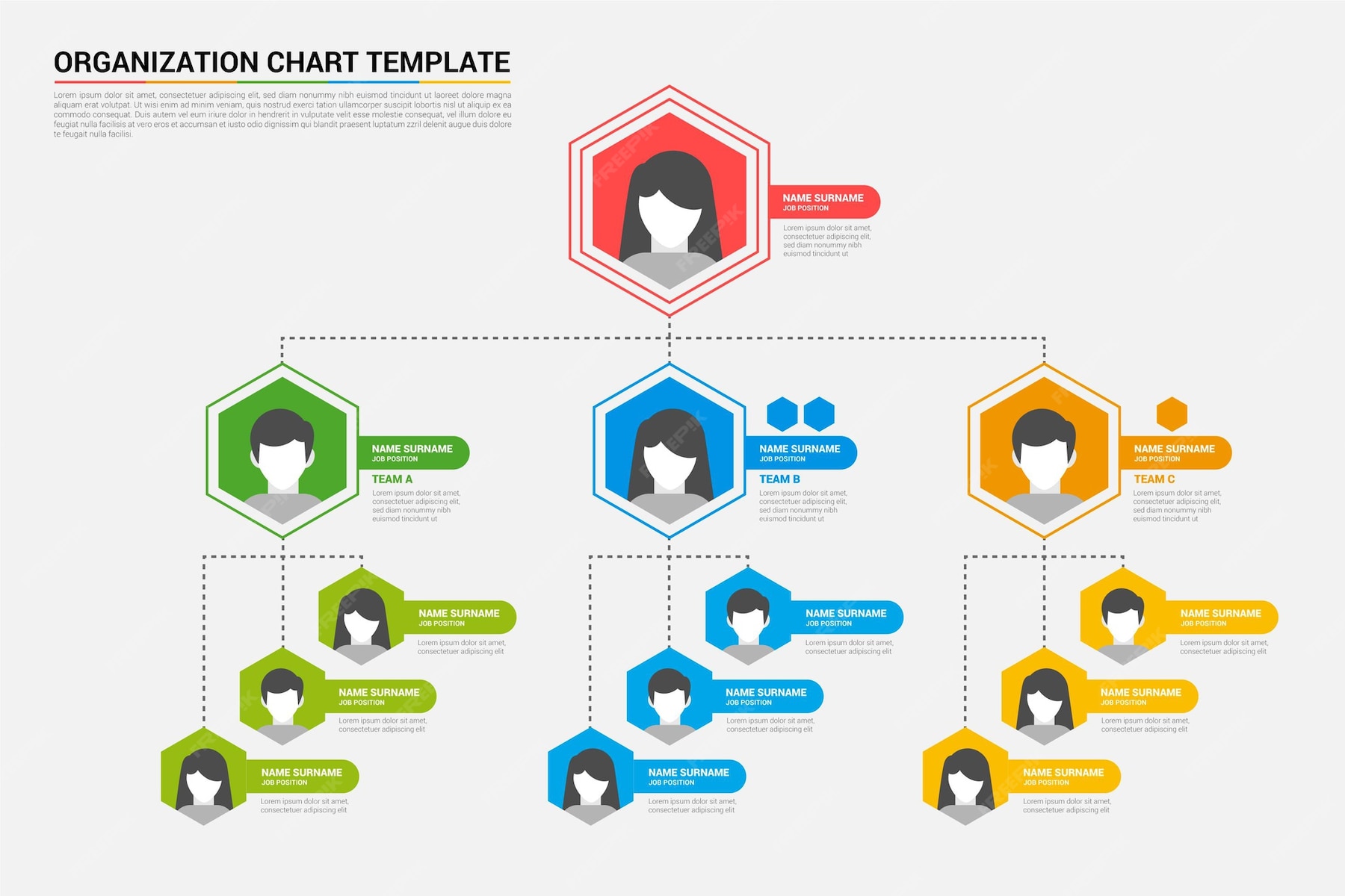 Free Vector | Organizational chart infographic Free Vector | Organizational chart infographic
