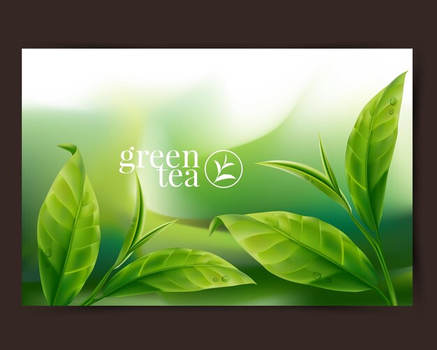 Premium Vector Realistic Green Tea Leaves