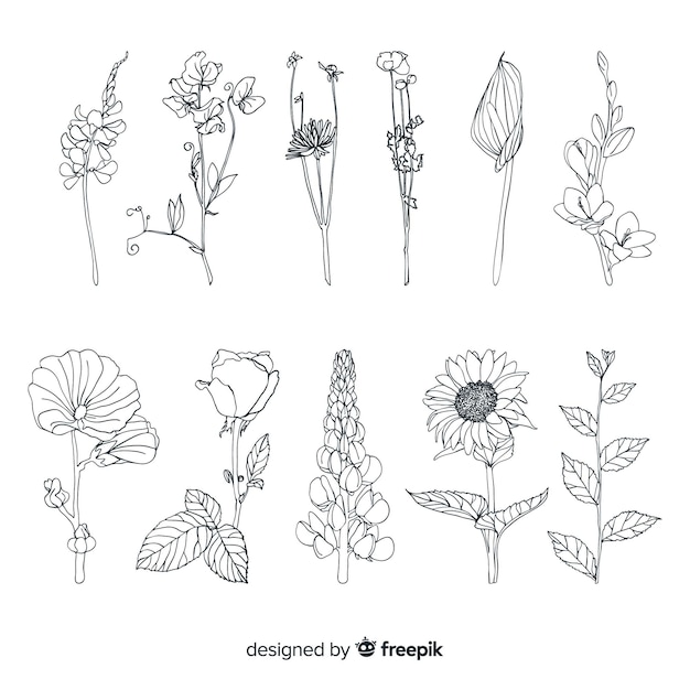 Diffe Types Of Flowers Drawing Realistic - Infoupdate.org Diffe Types Of Flowers Drawing Realistic - Infoupdate.org