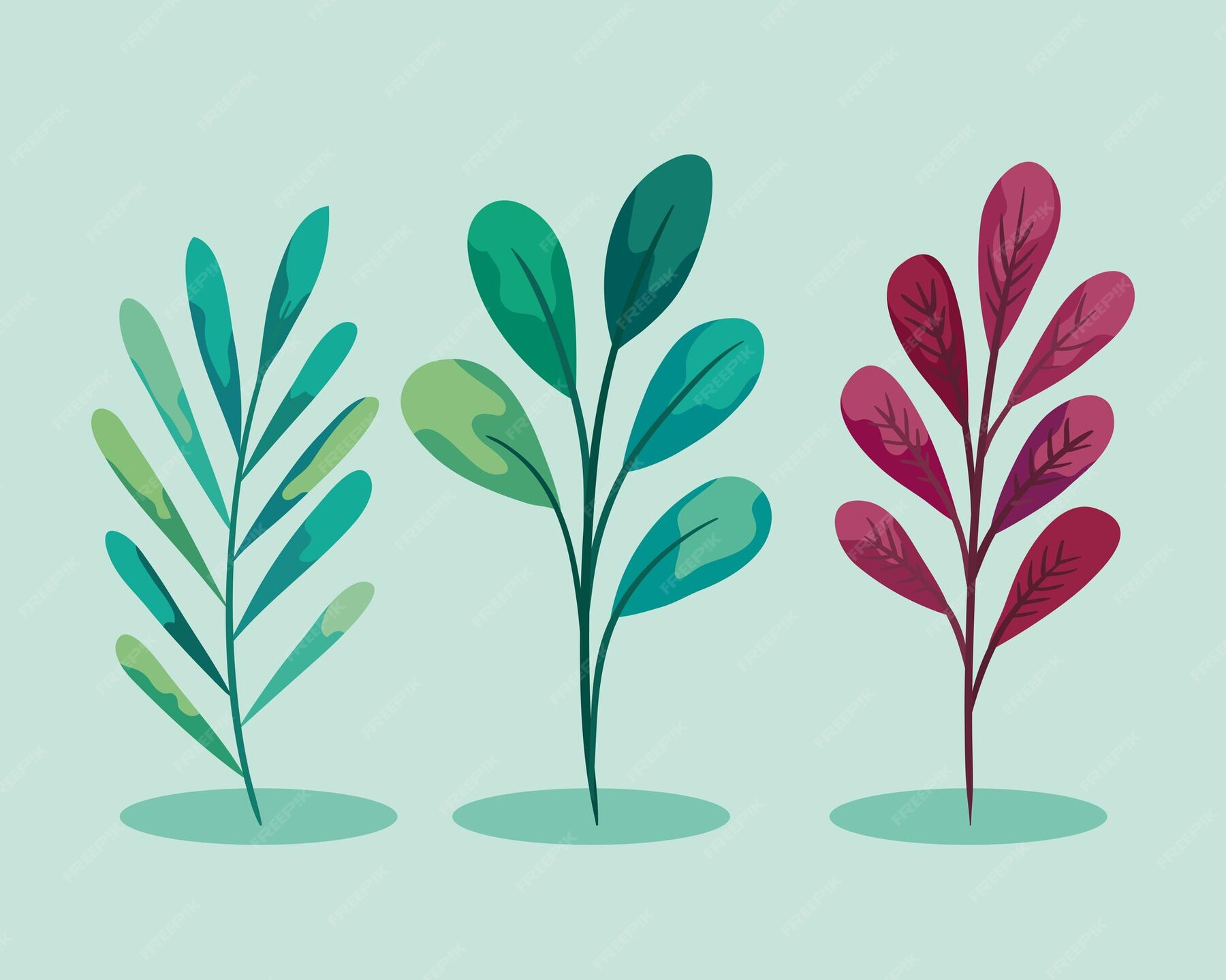 Free Vector | Set of icons with branches of forest Free Vector | Set of icons with branches of forest
