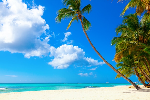 Plage Paradisiaque Tropicale Ensoleillée Des Caraïbes Avec Sable Blanc ... Plage Paradisiaque Tropicale Ensoleillée Des Caraïbes Avec Sable Blanc ...