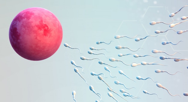 Premium Photo 3d Rendering Sperm And Egg Cell Science Content