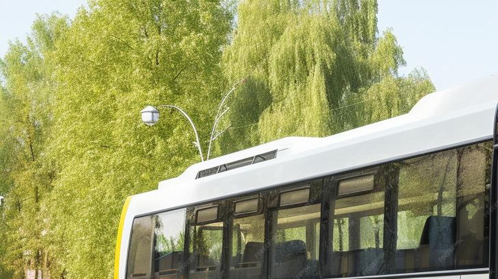 Premium Photo | Adapted a bus to transport disabled persons Premium Photo | Adapted a bus to transport disabled persons