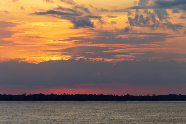Premium Photo | Amazing sunrise on the water of amazon river in brazil ... Premium Photo | Amazing sunrise on the water of amazon river in brazil ...