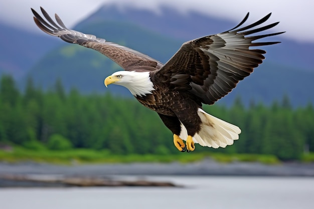 Premium AI Image | American bald eagle in flight Bald Eagle Haliaeetus ... Premium AI Image | American bald eagle in flight Bald Eagle Haliaeetus ...