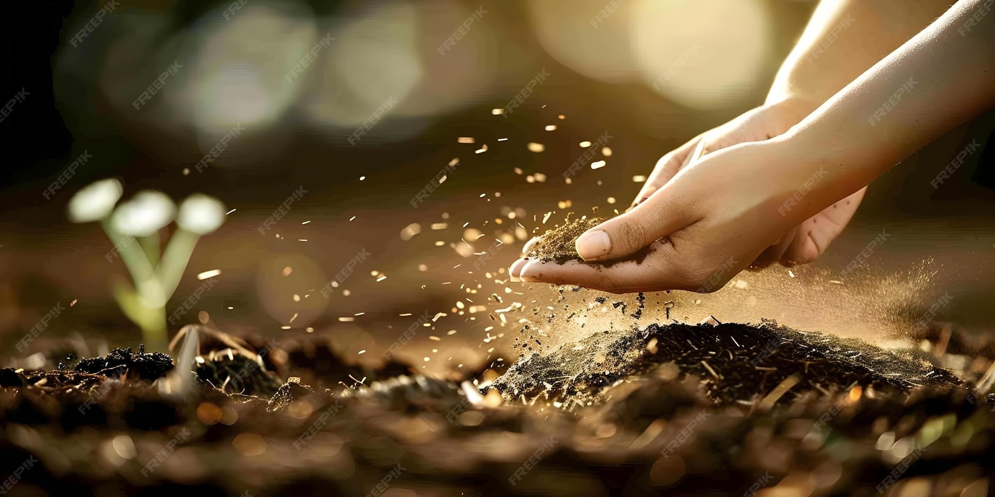 Premium Photo | Applying Biochar to Soil for Sustainable Soil ... Premium Photo | Applying Biochar to Soil for Sustainable Soil ...