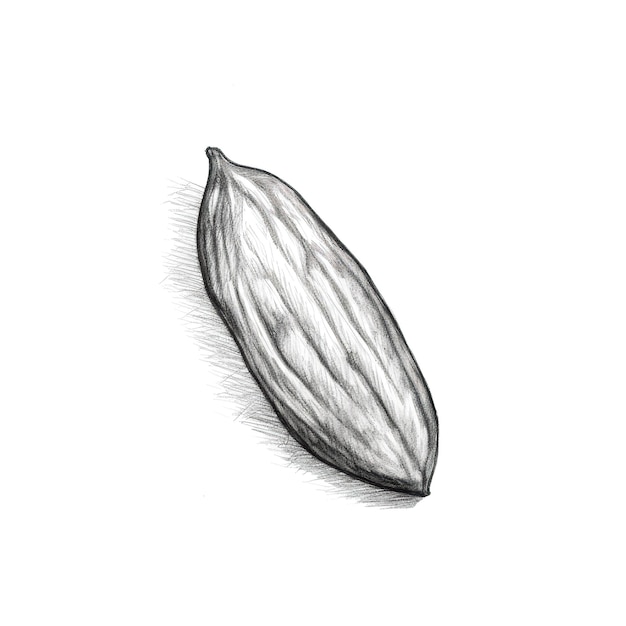 Premium AI Image | Background almond ai generated Premium AI Image | Background almond ai generated