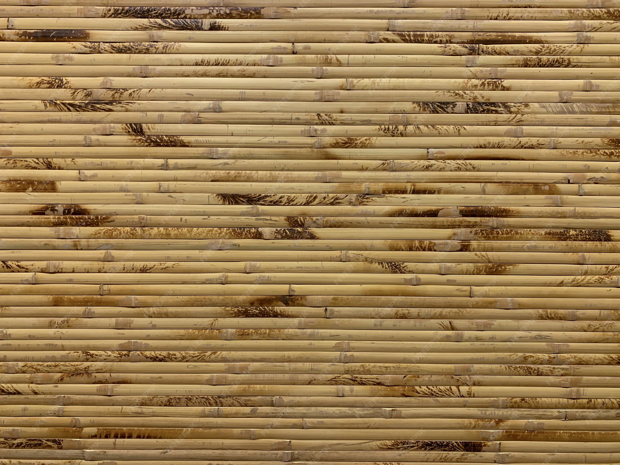 Premium Photo | Bamboo, wood texture background. Premium Photo | Bamboo, wood texture background.