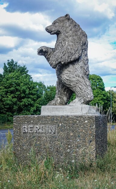 Premium Photo | Bear kingdom exploring the lives behavior and ... Premium Photo | Bear kingdom exploring the lives behavior and ...