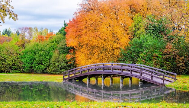 Premium AI Image | Beautiful wooden bridge over the pond in a colorful ... Premium AI Image | Beautiful wooden bridge over the pond in a colorful ...
