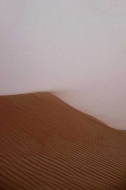 Premium Photo | The Beauty of Deserts Deserting Your Way to Success Premium Photo | The Beauty of Deserts Deserting Your Way to Success
