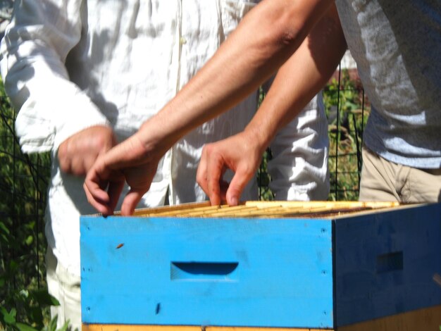 Premium Photo | Beekeeper working with bees and beehives on the apiary ... Premium Photo | Beekeeper working with bees and beehives on the apiary ...