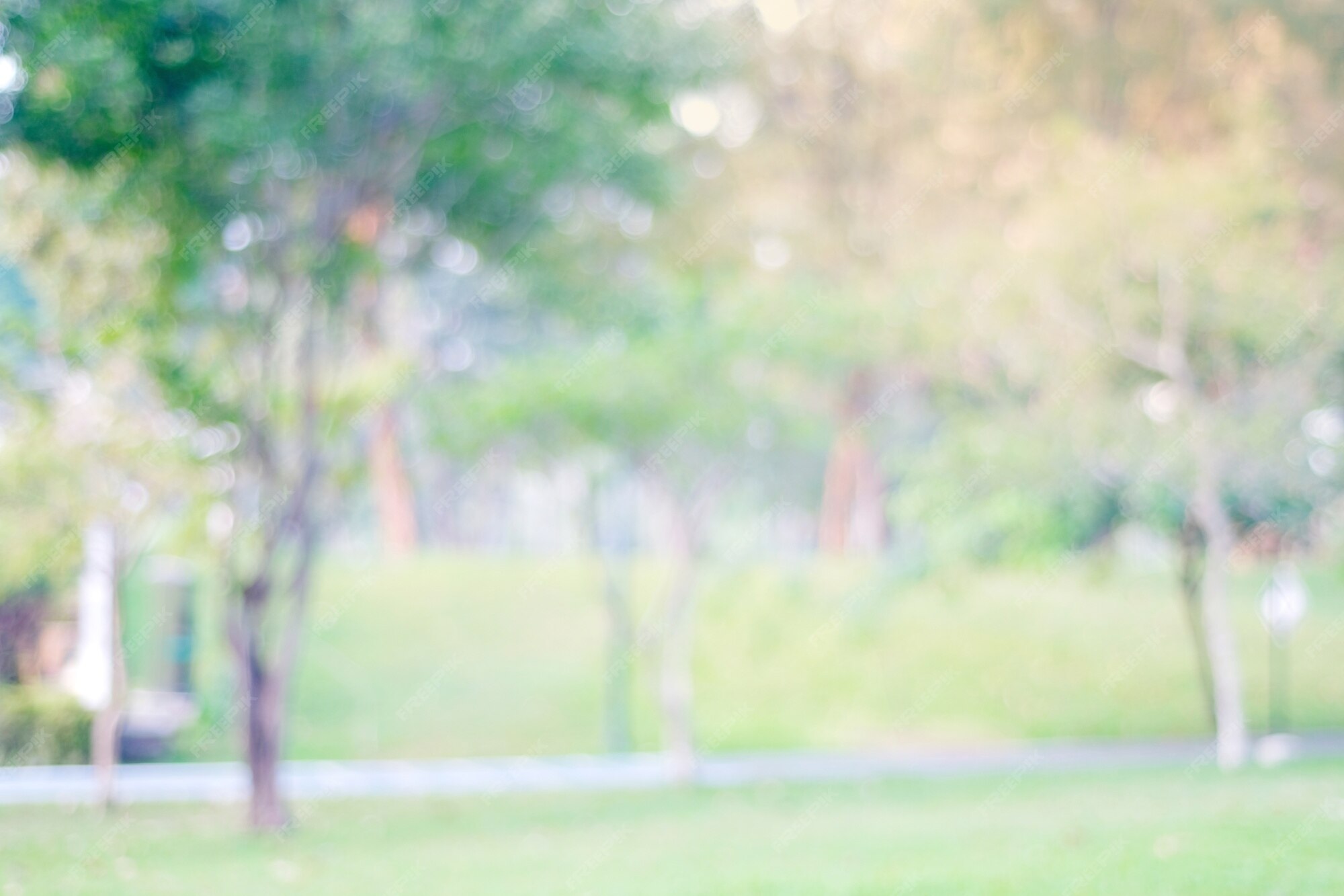 Premium Photo | Blurred spring and summer nature outdoor background Premium Photo | Blurred spring and summer nature outdoor background
