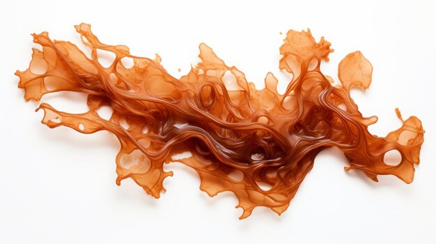 Premium AI Image | brown algae on a white background isolated Premium AI Image | brown algae on a white background isolated
