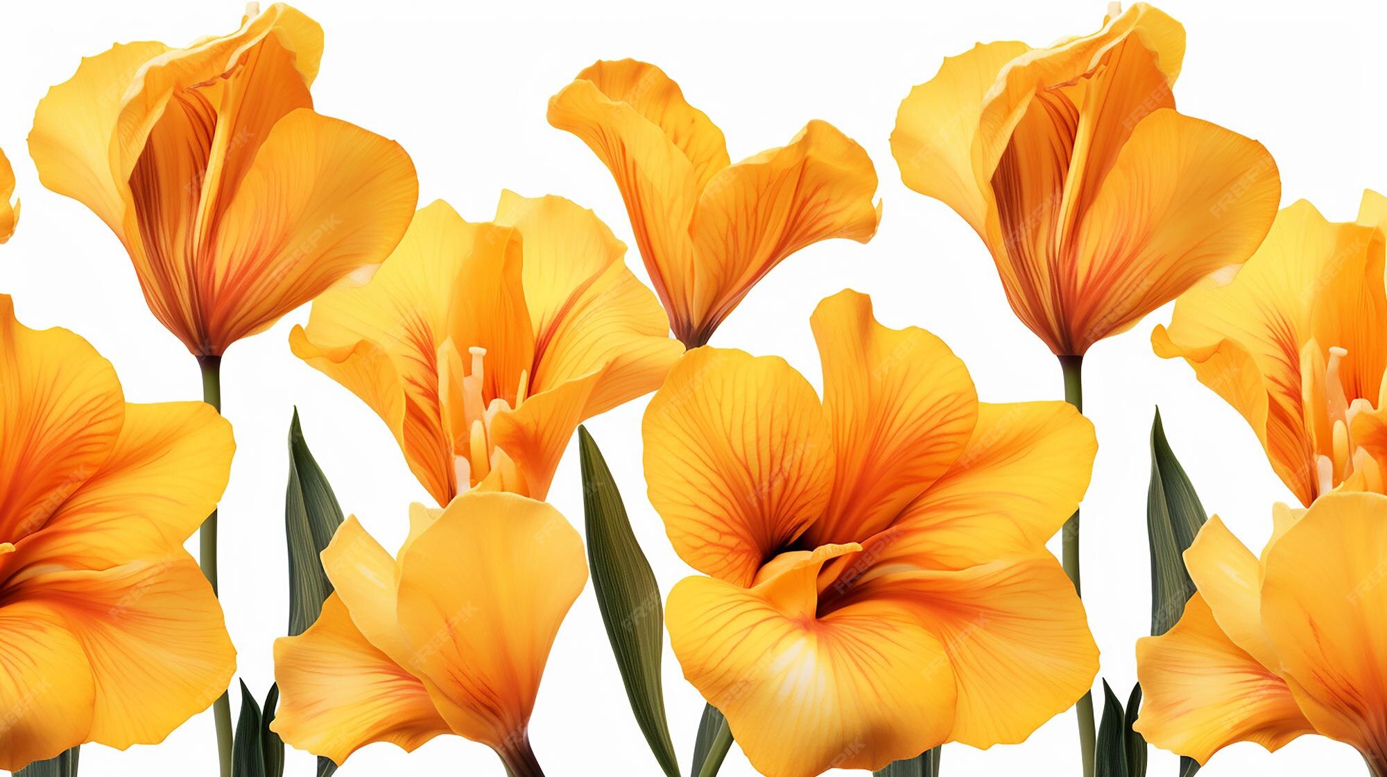 Premium Ai Image Canna Lily Flower Pattern Background Flower Background Texture