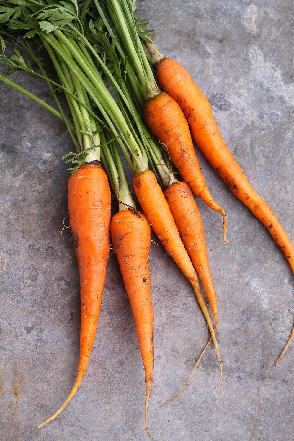 Premium Photo | Carrots bunch on a wooden blue background Premium Photo | Carrots bunch on a wooden blue background