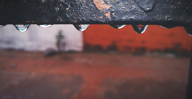 Premium Photo | Close-up of raindrops on roof Premium Photo | Close-up of raindrops on roof