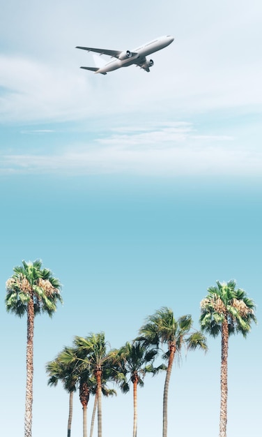 Premium Photo | Creative airplane backdrop Premium Photo | Creative airplane backdrop