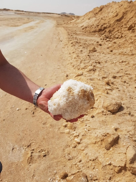 Premium Photo | Cropped hand holding mineral at sandy beach Premium Photo | Cropped hand holding mineral at sandy beach