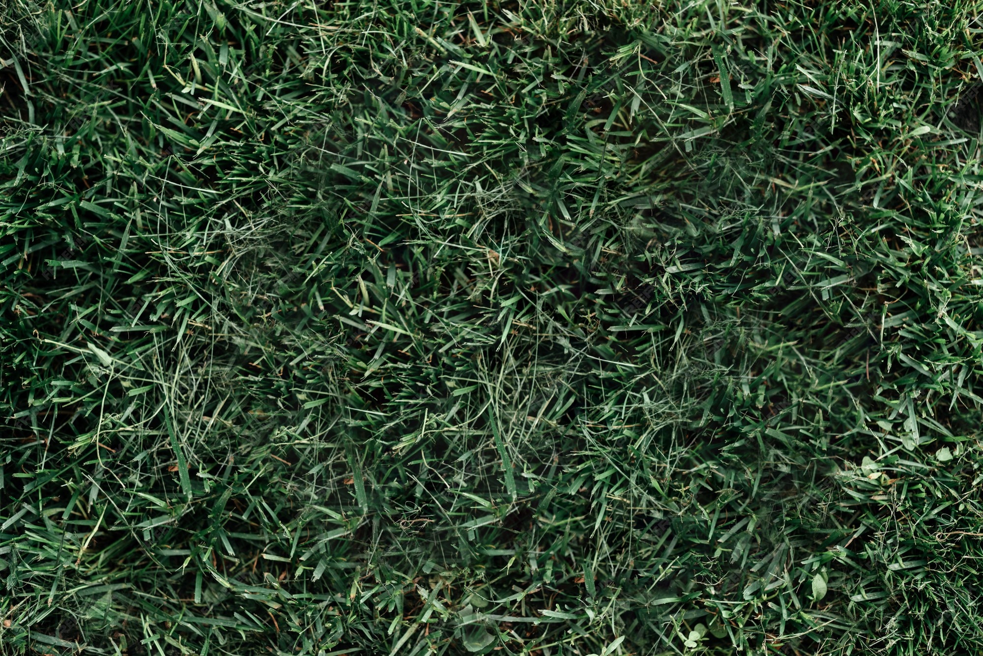 Premium Photo Dark Green Grass Texture From Golf Course Background