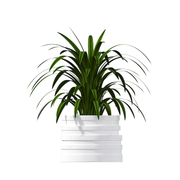 Premium Photo Decorative Flowers And Plants For The Interior