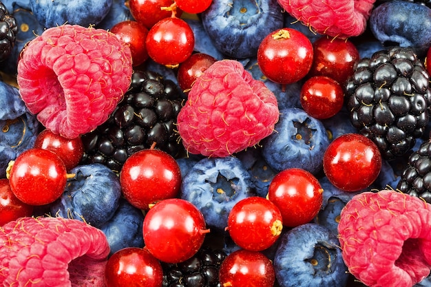 Premium Photo | Different fresh berries Premium Photo | Different fresh berries