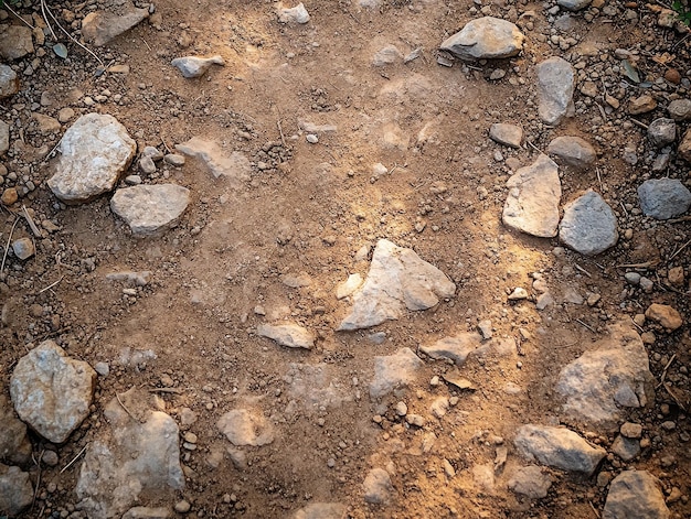 Dirt path texture background composition | Premium AI-generated image Dirt path texture background composition | Premium AI-generated image