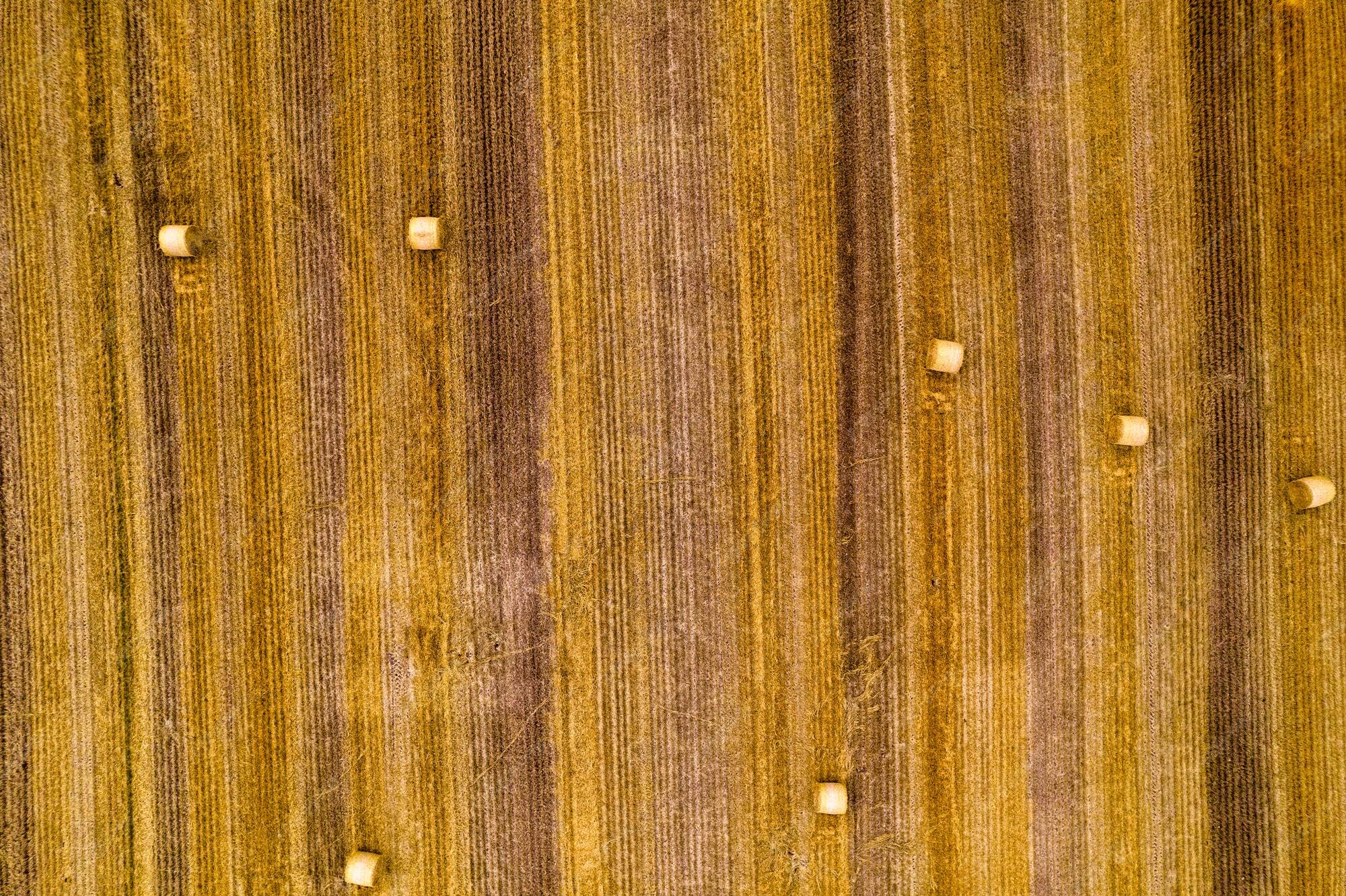 Premium Photo | Drone flight over a harvested grain field with straw ... Premium Photo | Drone flight over a harvested grain field with straw ...