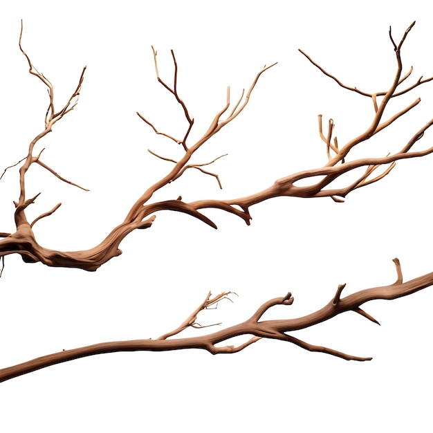 Premium Photo | Dry branches and twigs isolated on white background Premium Photo | Dry branches and twigs isolated on white background