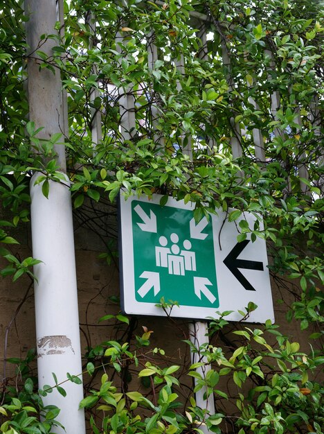 Premium Photo | Emergency assembly point green sign on wall ... Premium Photo | Emergency assembly point green sign on wall ...