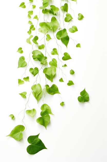 Premium AI Image | Falling leaves AI generated Image Premium AI Image | Falling leaves AI generated Image