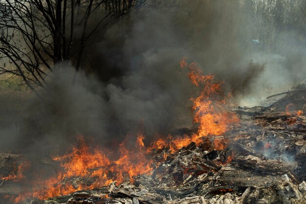 Premium Photo | Fire and black smoke fire in landfill smoke in forest ... Premium Photo | Fire and black smoke fire in landfill smoke in forest ...