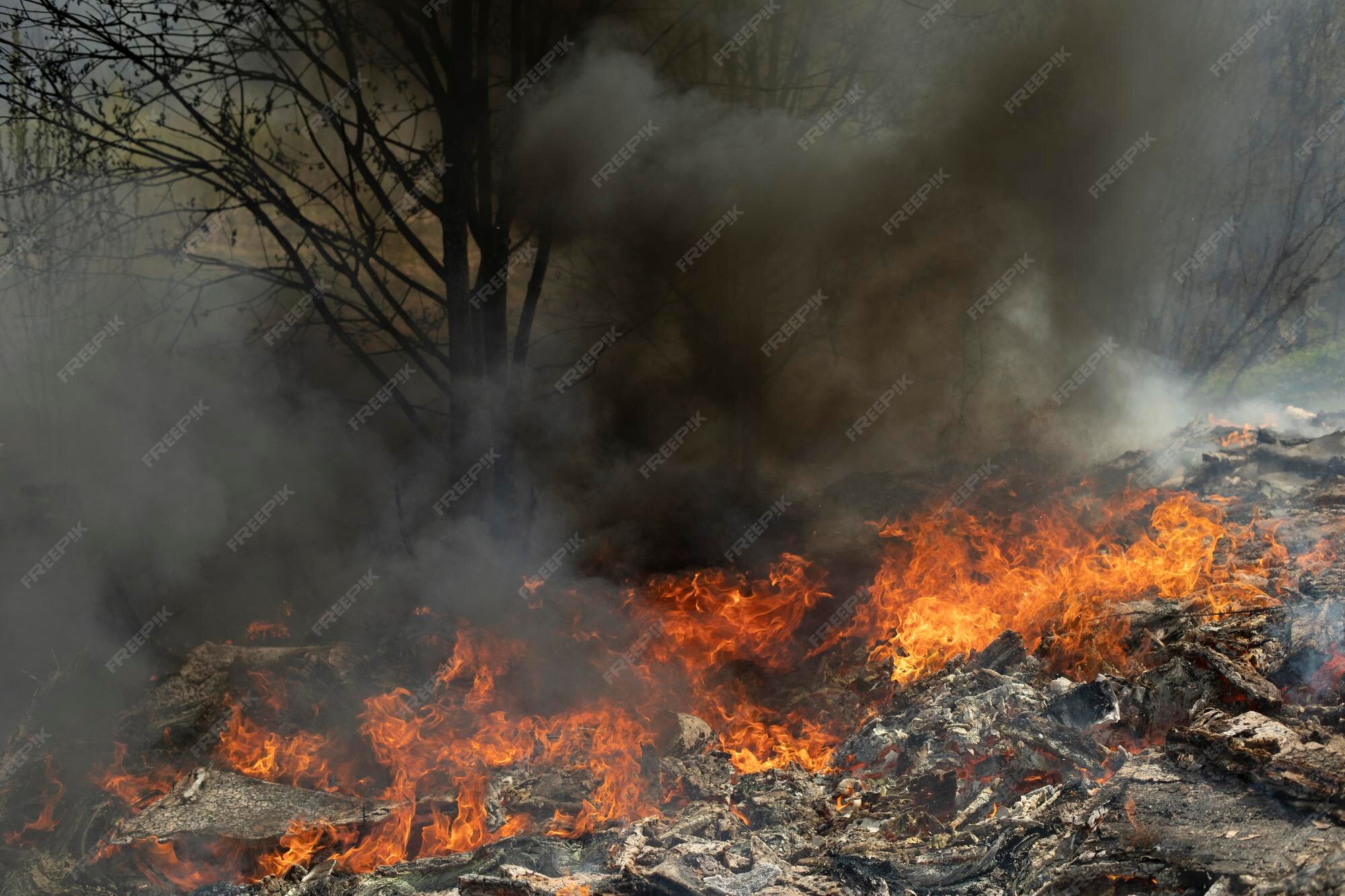 Premium Photo | Fire and black smoke fire in landfill smoke in forest ... Premium Photo | Fire and black smoke fire in landfill smoke in forest ...