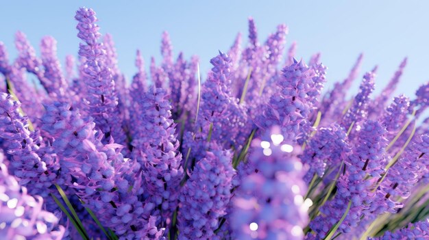 Premium AI Image | Flowering lavender made using generative AI tools Premium AI Image | Flowering lavender made using generative AI tools