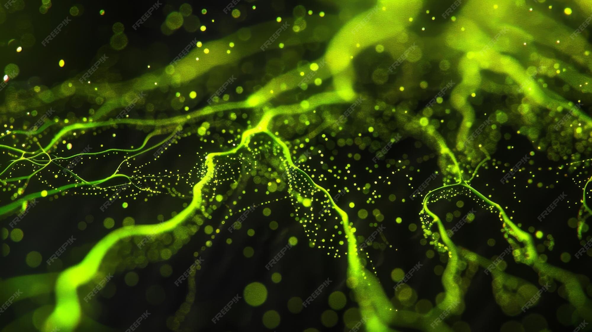 Premium Photo | A fluorescence microscopy image of fluorescently ... Premium Photo | A fluorescence microscopy image of fluorescently ...