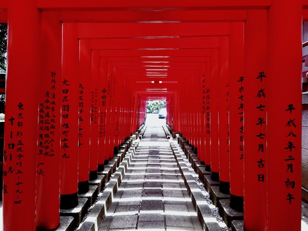 Premium Photo | Footpath amidst red columns at shrine Premium Photo | Footpath amidst red columns at shrine