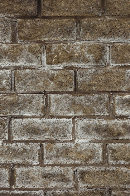 Premium Photo | Frozen brick wall covered snow Premium Photo | Frozen brick wall covered snow